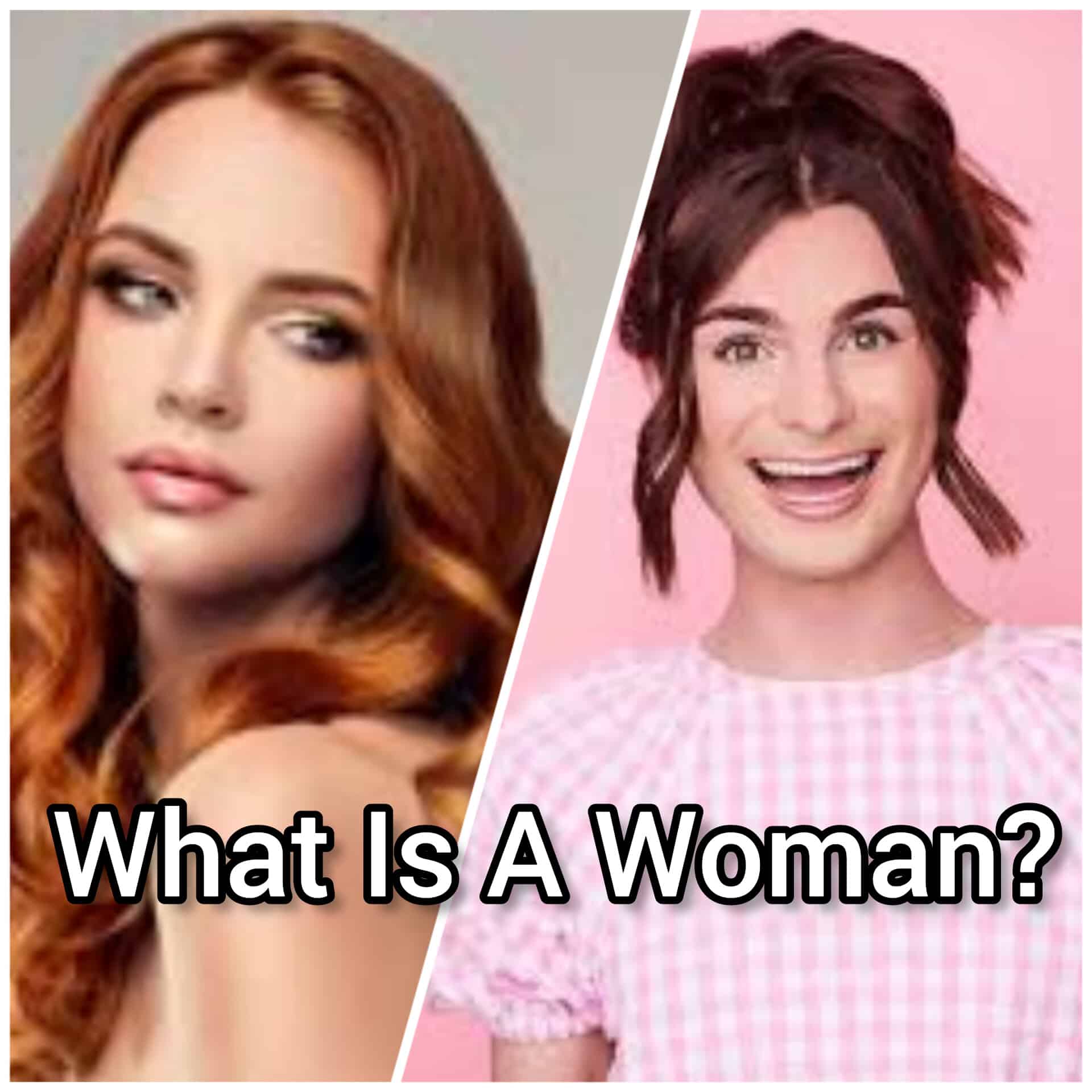 In A World Where Feelings Are Facts, What Is A Woman? - Nico Lagan