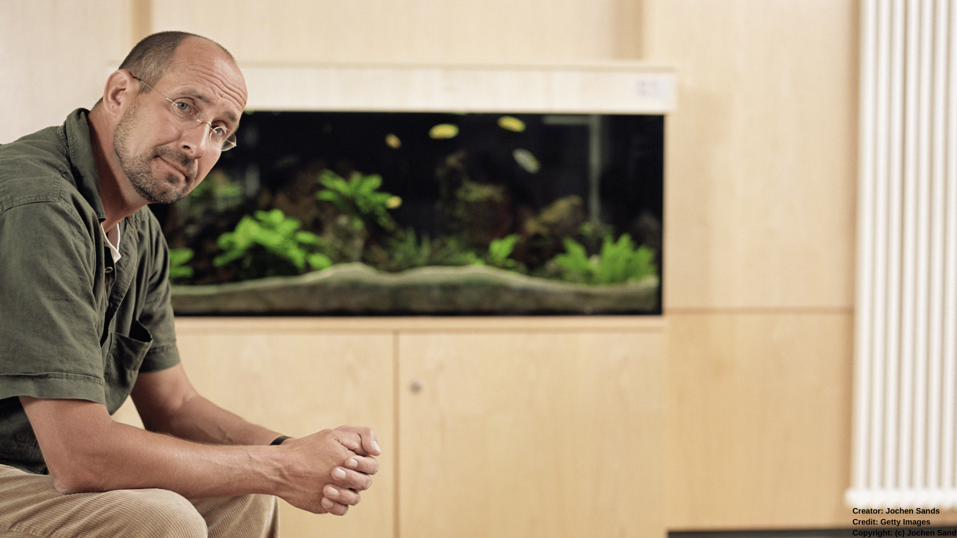 Taken For Granted: Good Men And The Aquarium Effect - Nico Lagan